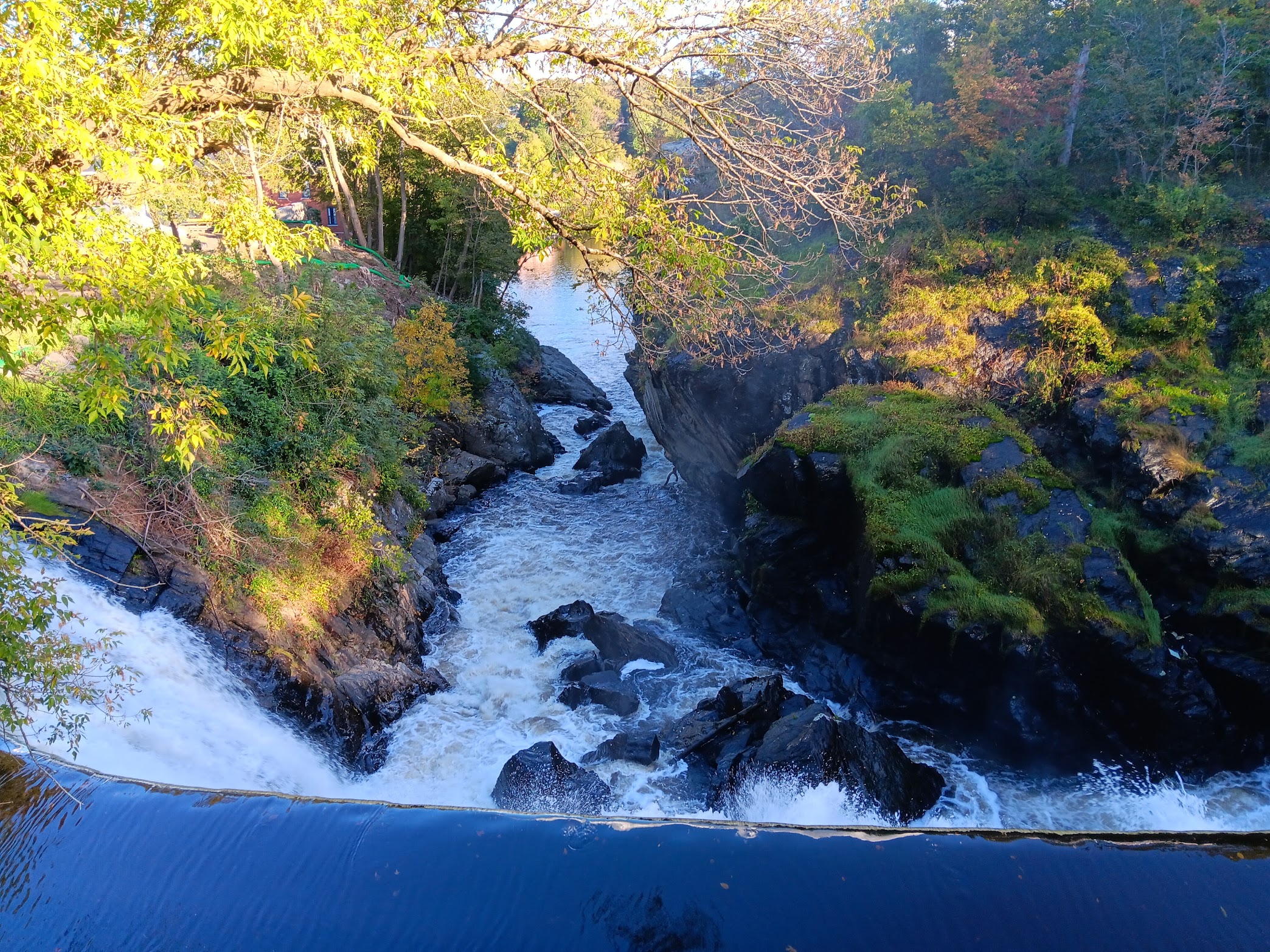 New-York Historical Society