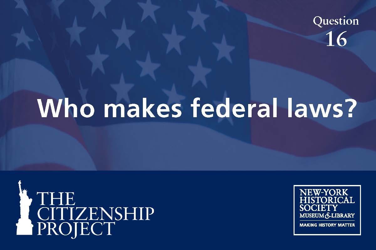 Citizenship Project | Study Materials | The New York Historical