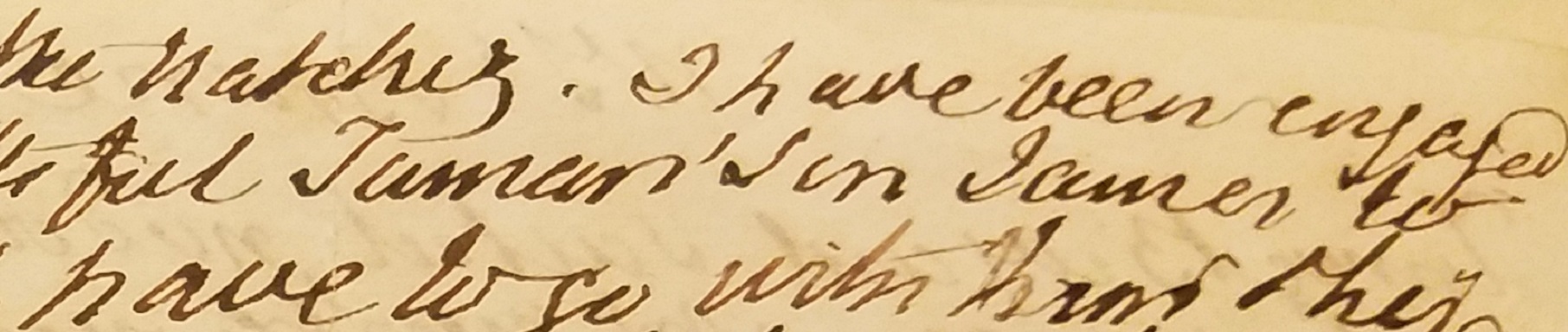 Finding Tamar: A Researcher Discovers Traces of His Ancestor | The New ...