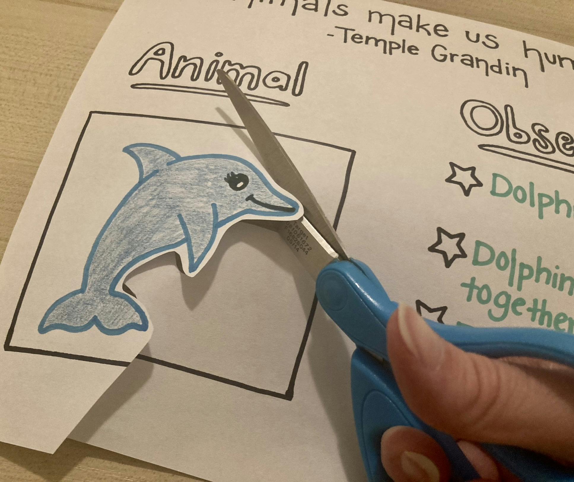 Little New-Yorkers @ Home: Create an Animal Habitat Like Temple Grandin ...