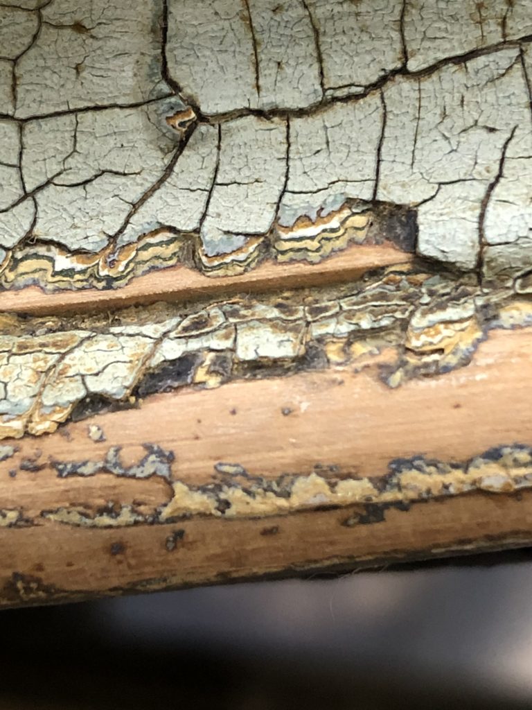 The New York Historical