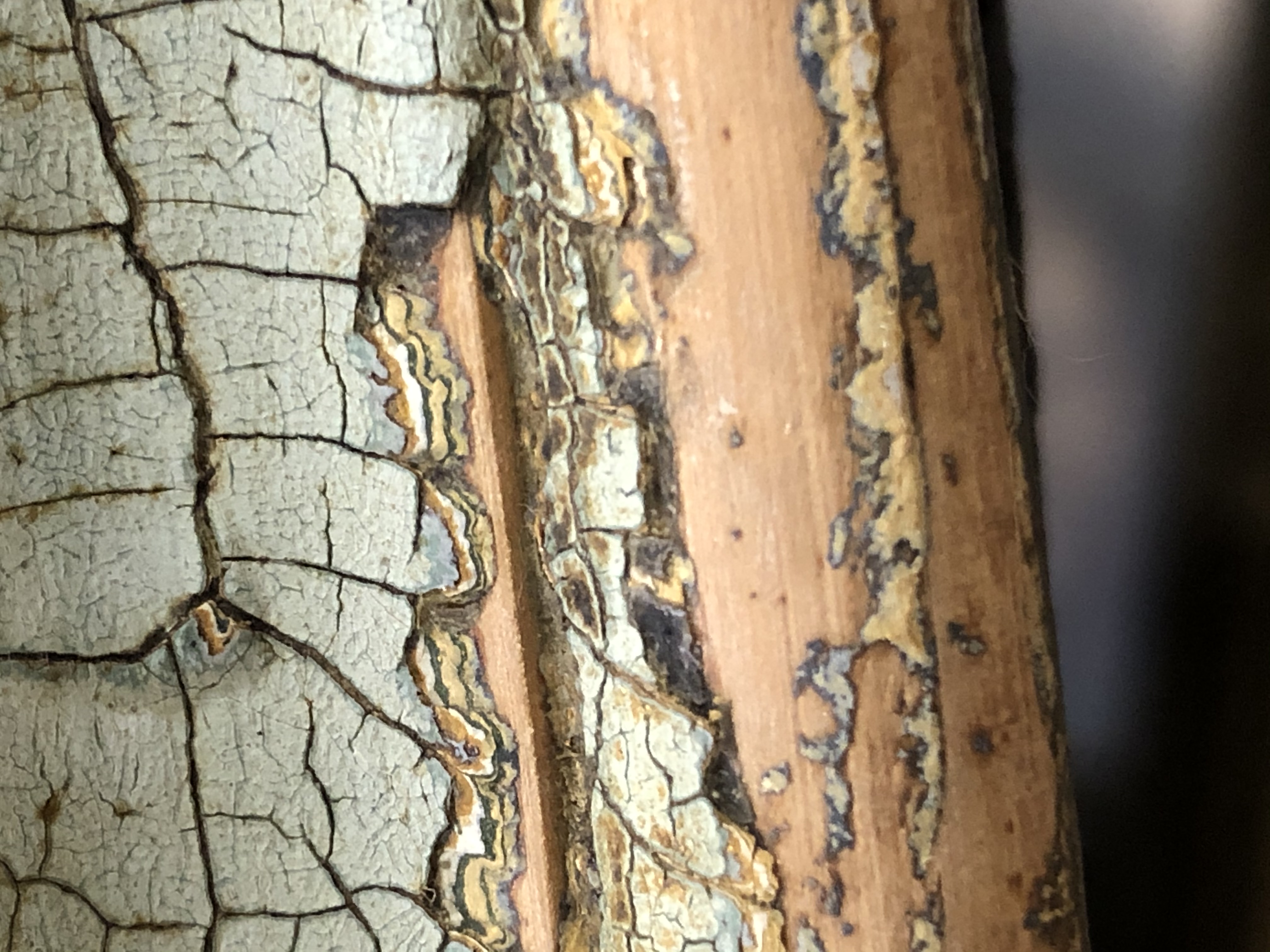 Traveling in Style: A Coach Restored | The New York Historical