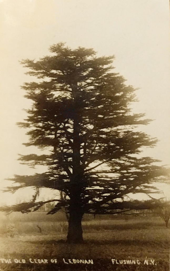 The New York Historical